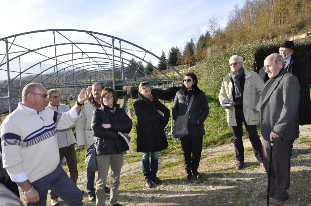 Gemellaggio Slow Food Piemonte e Calabria: Castagno coltura strategica ...