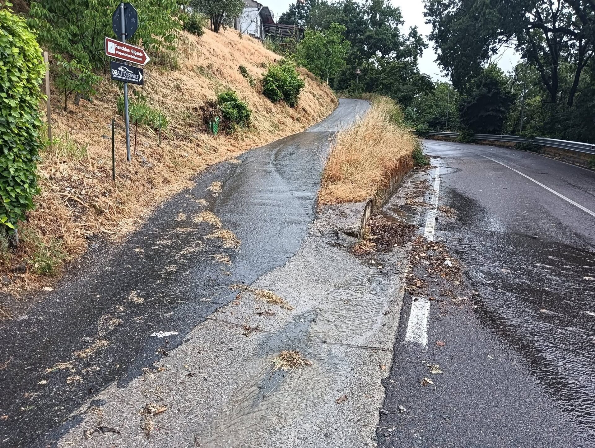 Comitato Uniti per Contrada Colla, Manche e Bivio Zeta: “Le energie ...